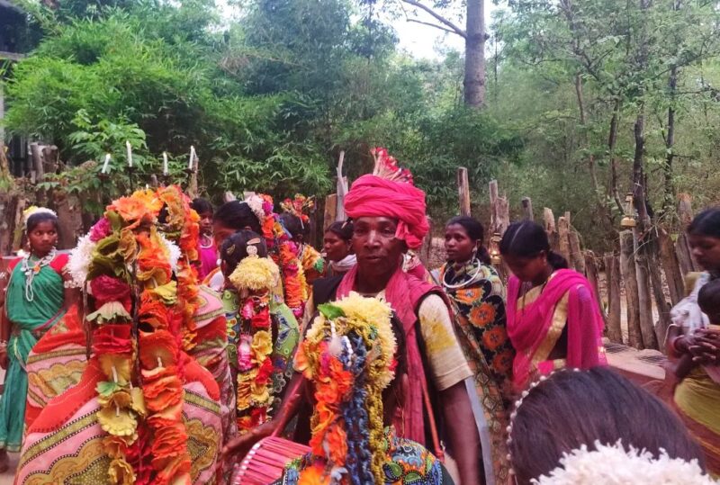 Sacred Groves of India: Where Forest Meets Faith